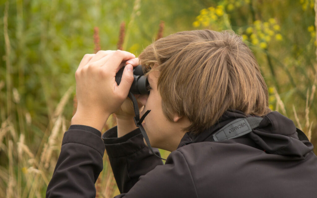 Observación de aves - Caminata por los Humedales de Llanquihue - Cahuil ...